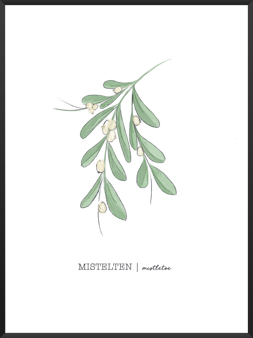 Mistletoe - Poster – Project Nord